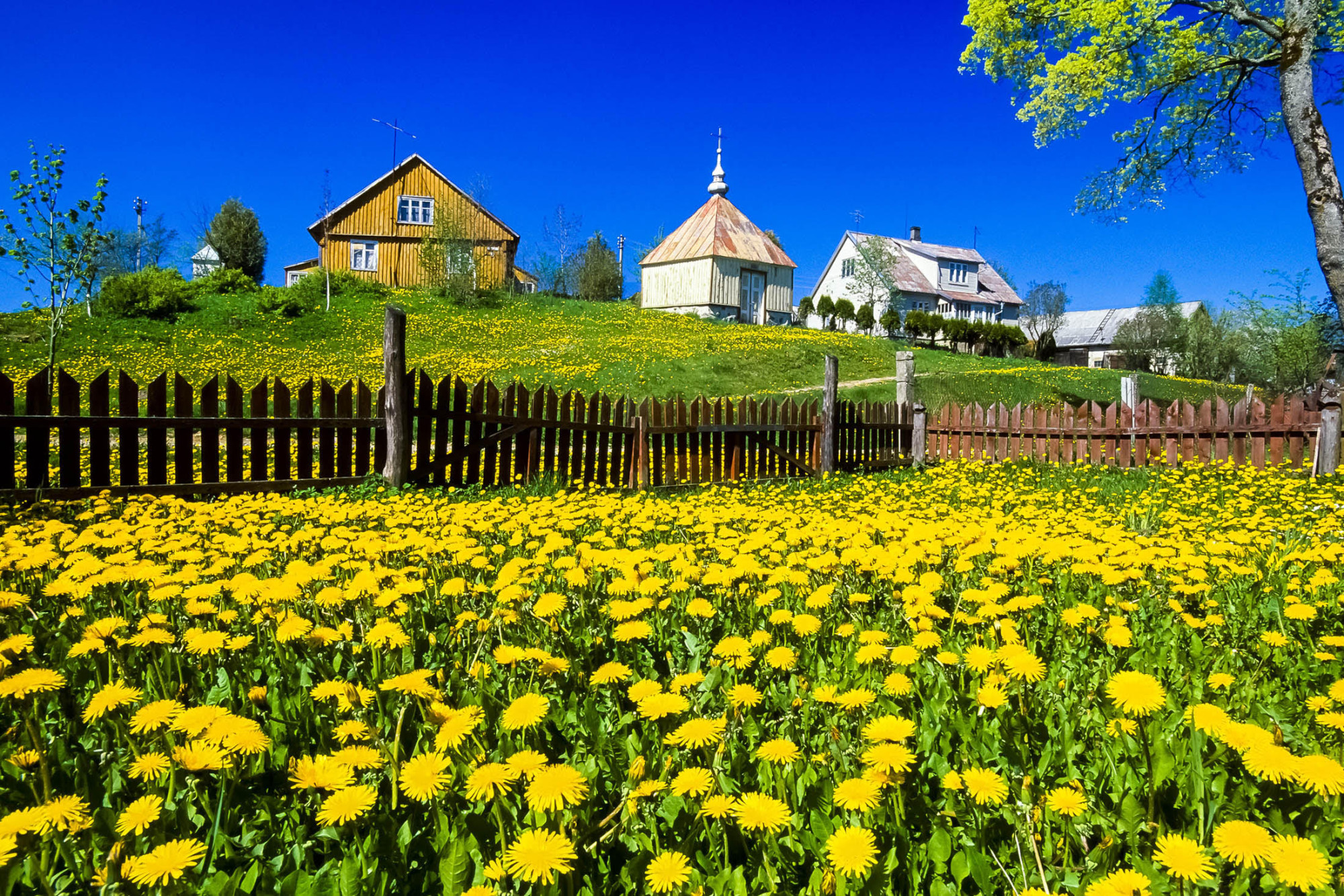 Einzigartiges Baltikum: Aneta und Dirk Bleyer verzaubern in der ...